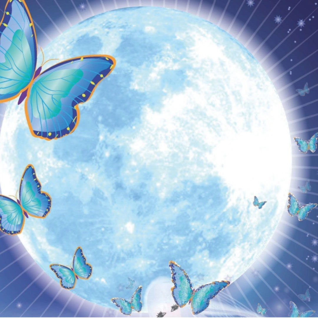 Butterfly Ball – Elizabeth Kerry.com